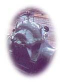 Bharat Pumps Product Page